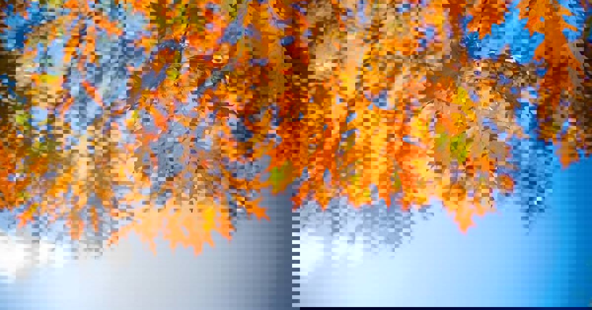 Season Opener Event: A September Social for Our Clients | Events ...